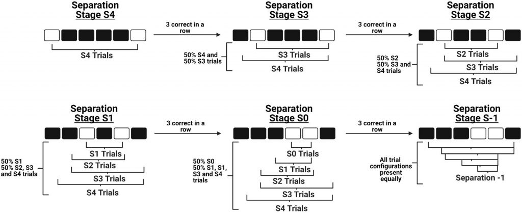 Decision Making In Mice During An Optimized Touchscreen Spatial Working Memory Task Sensitive To